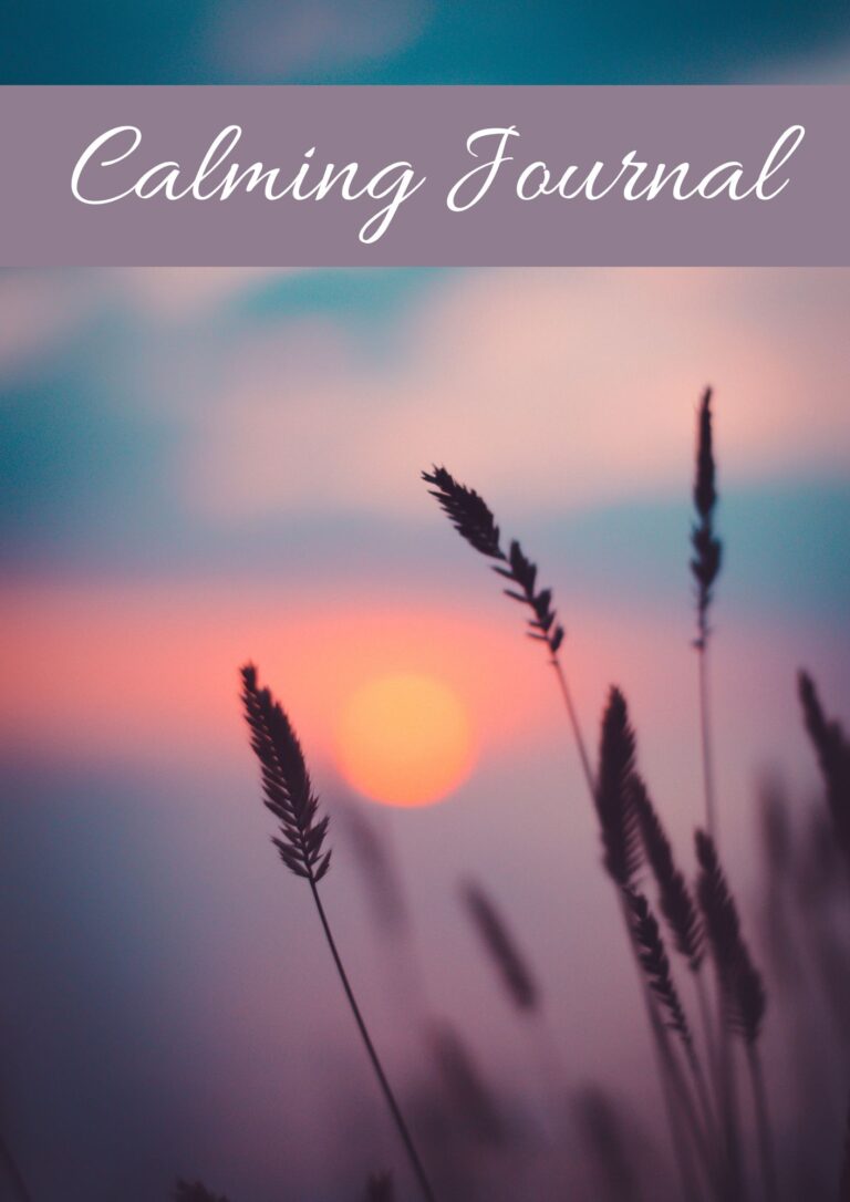 Calming Journal & Workbook - Sunshine Academy